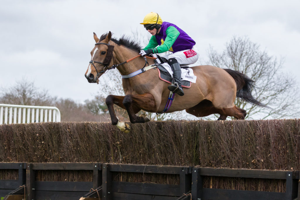 North Norfolk Harriers at Higham - Report & Results - Pointing EA