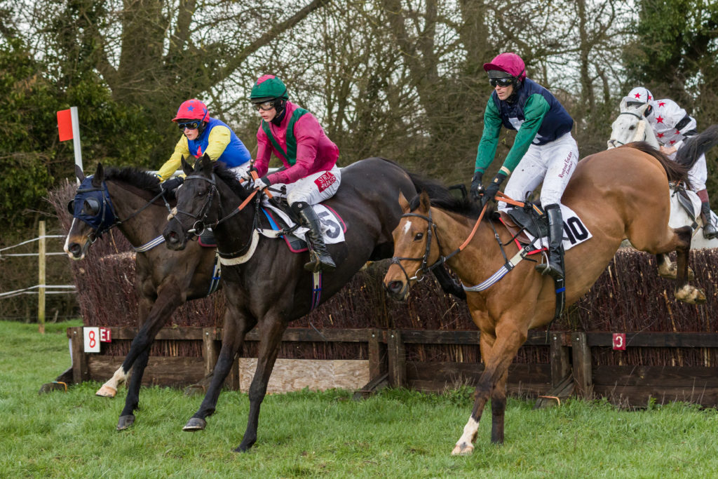 HIGH EASTER RACING CLUB - 17th MARCH - REPORT & RESULTS - Pointing EA