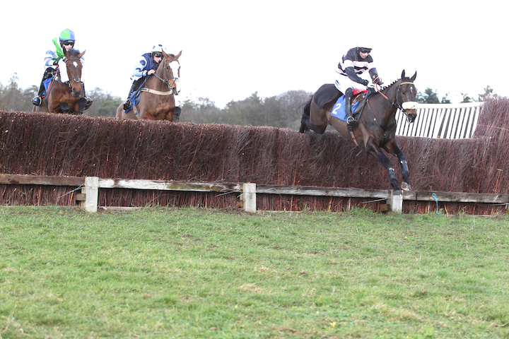 THE SUFFOLK AT AMPTON - REPORT & RESULTS - Pointing EA