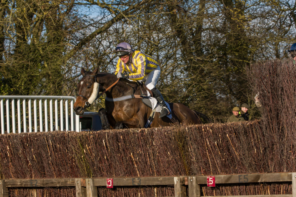 HIGH EASTER RACING CLUB - 17th MARCH - REPORT & RESULTS - Pointing EA