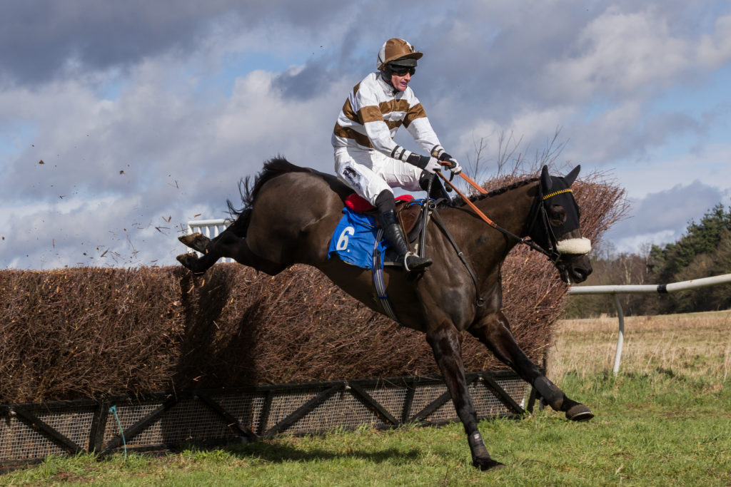 THE SUFFOLK AT AMPTON - REPORT & RESULTS - Pointing EA