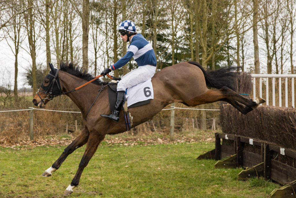 Issue 5 :THE POINTING STORY OF THE TURNER FAMILY FROM AMPTON, SUFFOLK ...