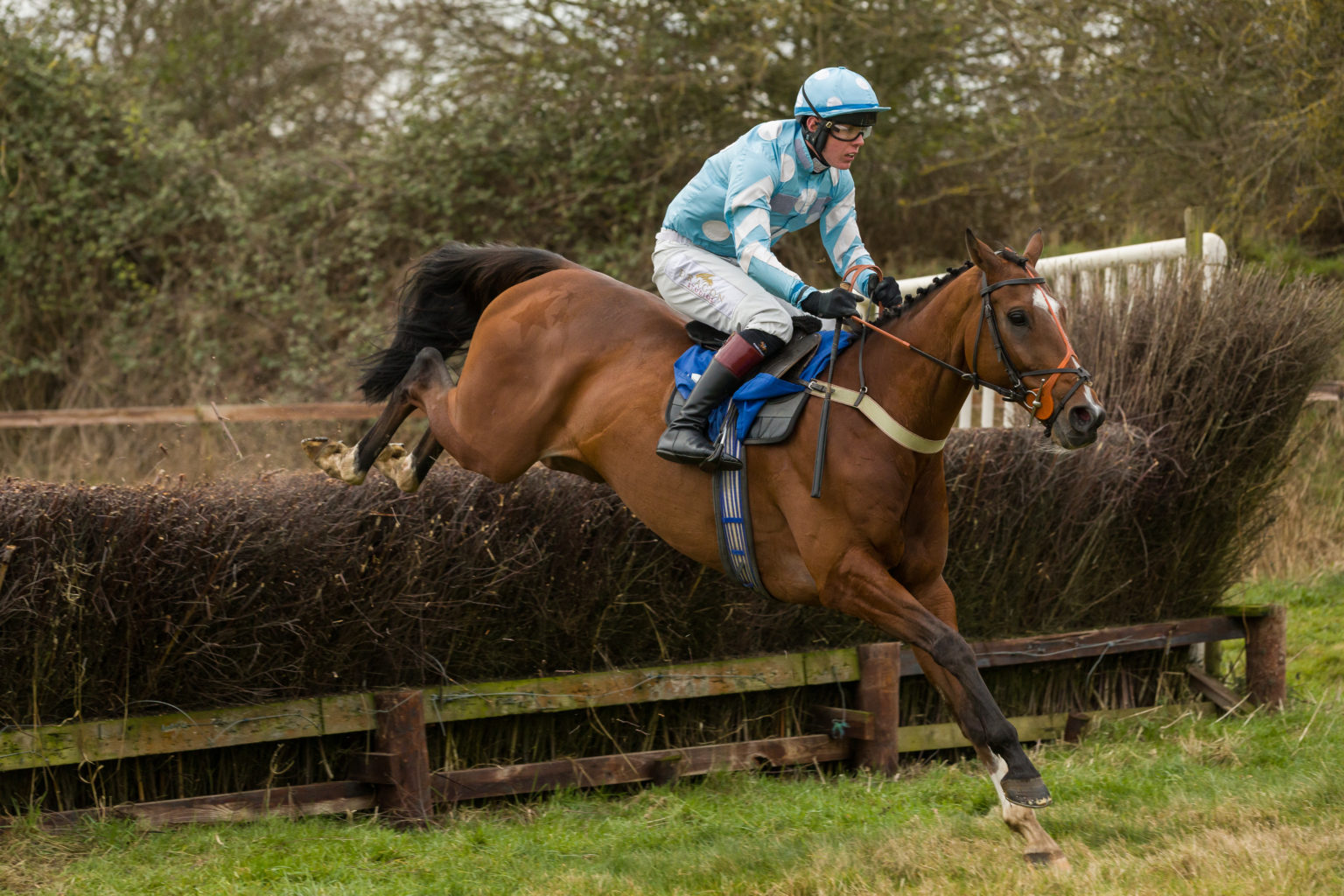 REPORT: DUNSTON HARRIERS AT AMPTON ON SUNDAY JANUARY 14th - Pointing EA