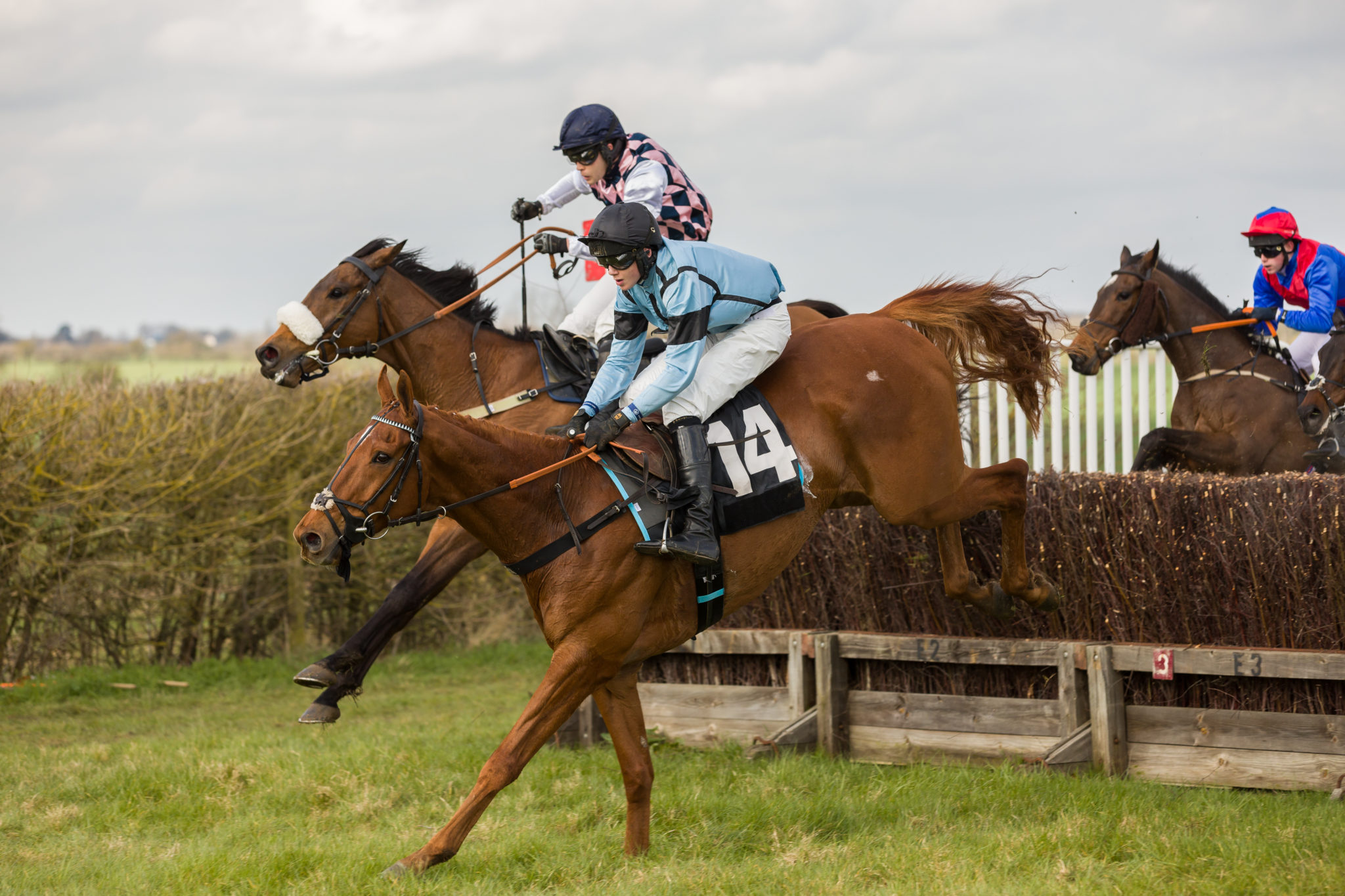 REPORT: HIGH EASTER RACING CLUB AT HIGH EASTER ON SATURDAY MARCH 16th ...