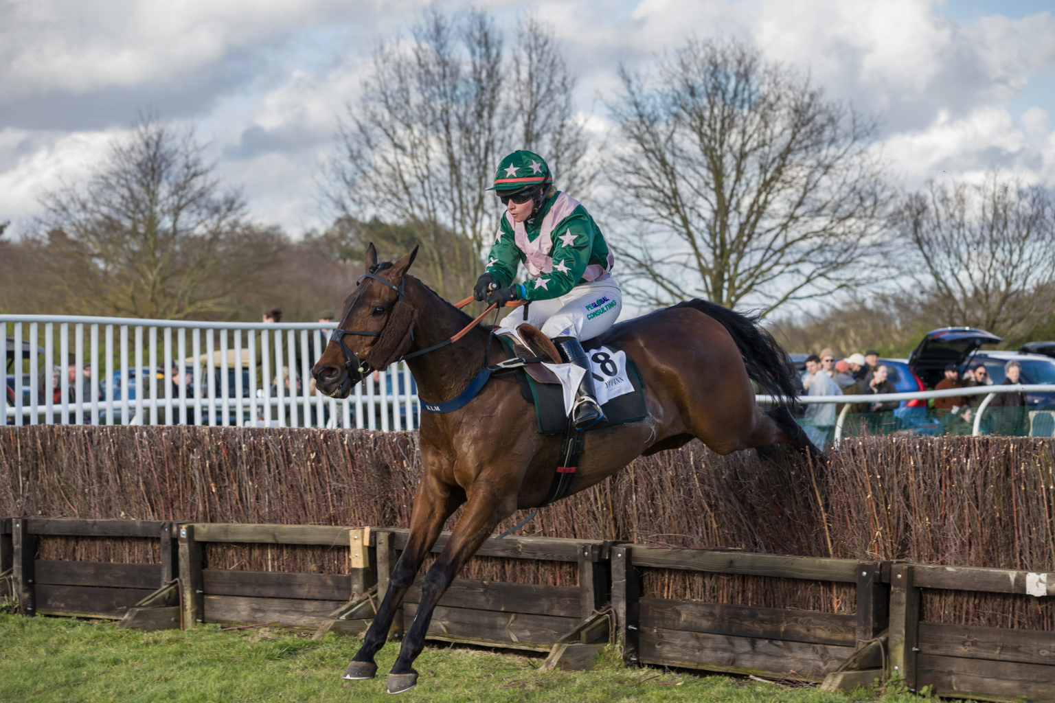 REPORT: ESSEX & SUFFOLK AT HIGHAM ON GOOD FRIDAY MARCH 29th - Pointing EA